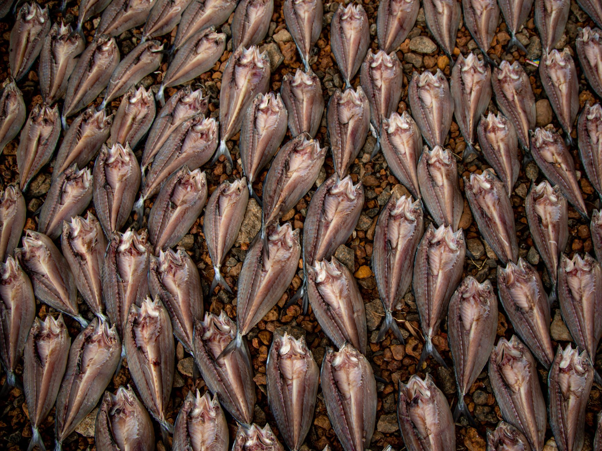 Neidhal Kaimanam – Cooking up the Coast